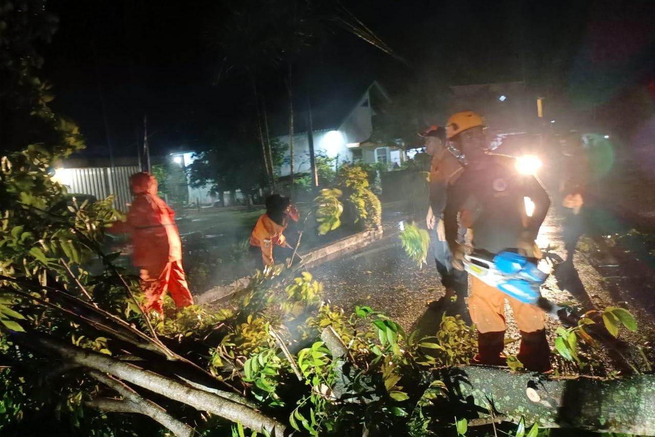 Hujan Deras dan Angin Kencang, Tumbangkan Pohon, Sempat Tutup Jalan Kota Sekayu