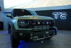 Heboh Kemunculan Harimau di Muratara, Tim BKSDA Provinsi Cek Ke Lokasi, Ini Hasil Sementara